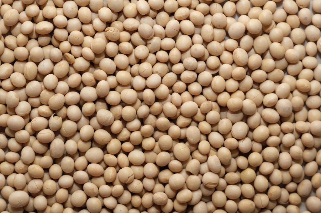 Soybean Gene SW14: Natural Variation That Balances Seed Weight, Protein ...